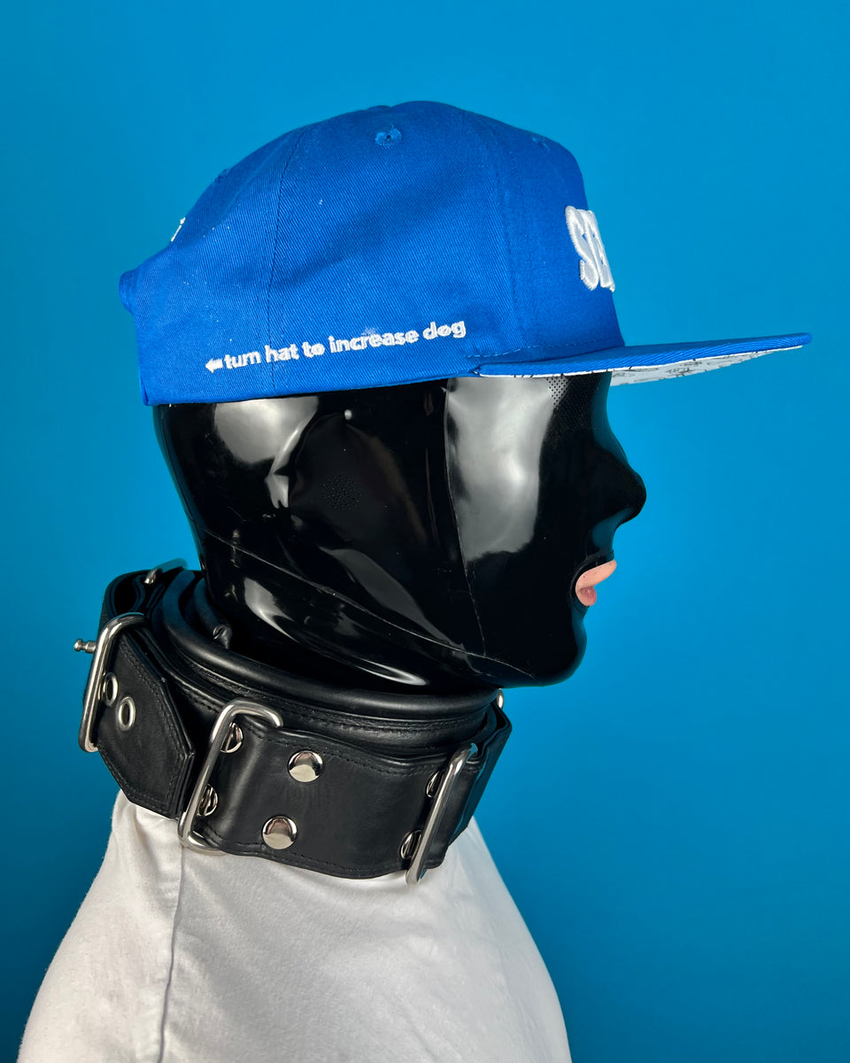 Sex Dog Hat (Blue) – SpacePupSilver