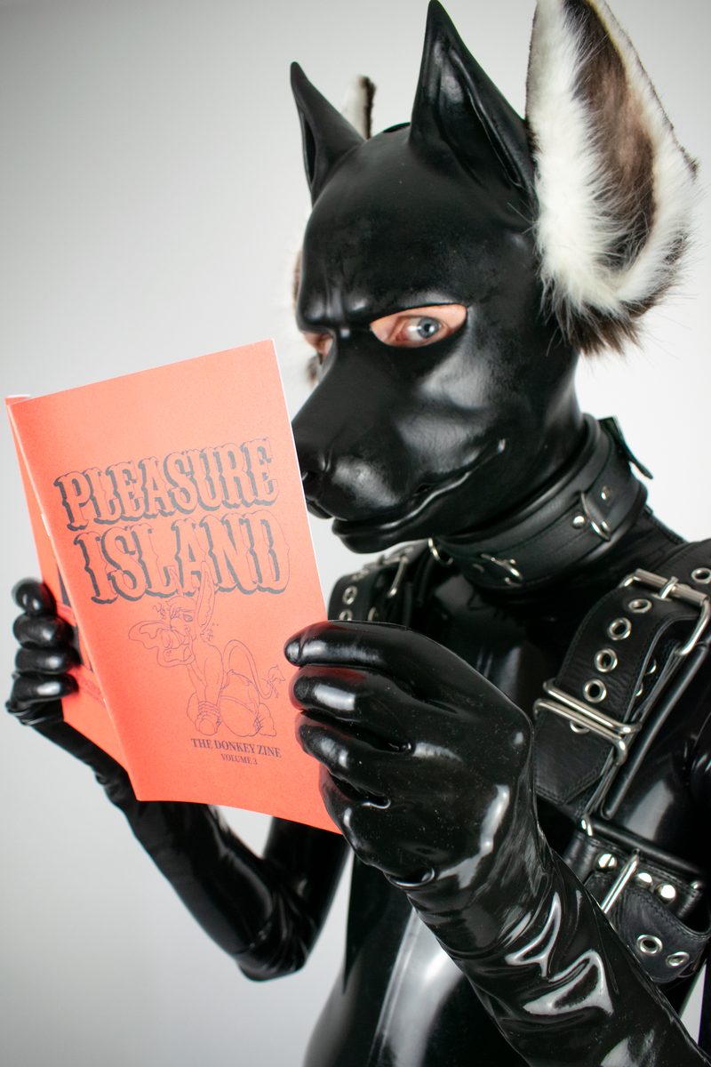 Pleasure Island Volume 3 (A5 Zine) – SpacePupSilver